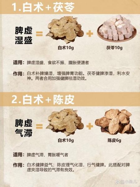 白术的功效与作用及禁忌_白术泡水喝的副作用-第3张图片-山城妙识 白术的功效与作用及禁忌_白术泡水喝的副作用-第3张图片-山城妙识