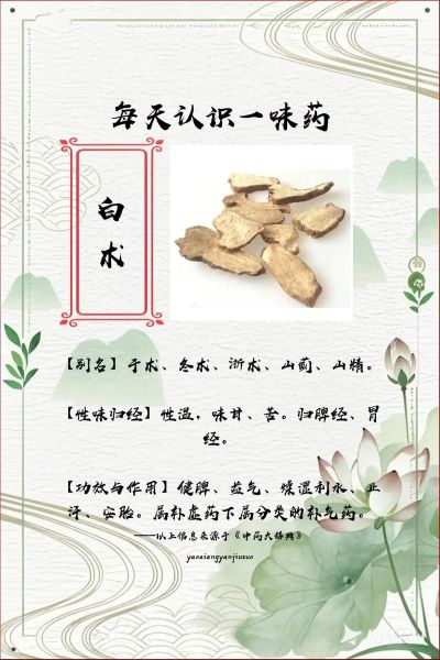 白术的功效与作用及禁忌_白术泡水喝的副作用-第2张图片-山城妙识 白术的功效与作用及禁忌_白术泡水喝的副作用-第2张图片-山城妙识