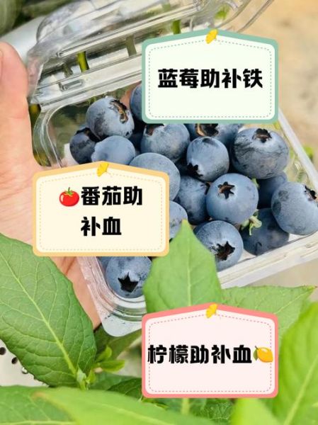 贫血吃什么水果补血_哪些水果补血最快-第3张图片-山城妙识 贫血吃什么水果补血_哪些水果补血最快-第3张图片-山城妙识