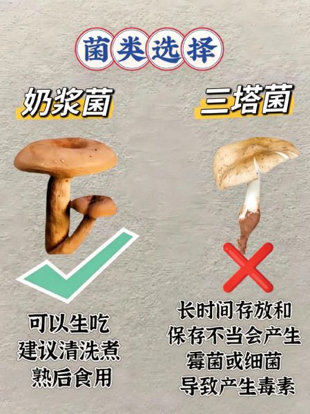 食用菌有哪些种类_如何挑选新鲜食用菌-第3张图片-山城妙识 食用菌有哪些种类_如何挑选新鲜食用菌-第3张图片-山城妙识