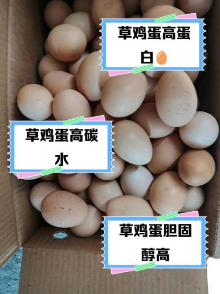 草鸡蛋和洋鸡蛋的区别_哪个营养价值更高-第1张图片-山城妙识 草鸡蛋和洋鸡蛋的区别_哪个营养价值更高-第1张图片-山城妙识