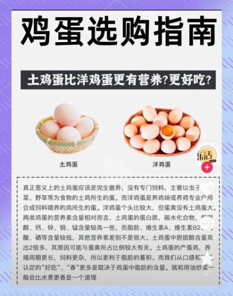 草鸡蛋和洋鸡蛋的区别_哪个营养价值更高-第2张图片-山城妙识 草鸡蛋和洋鸡蛋的区别_哪个营养价值更高-第2张图片-山城妙识