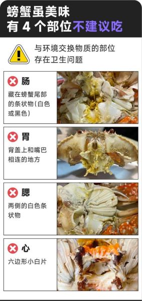 螃蟹哪些部位不能吃_蟹腮蟹胃蟹心蟹肠全解析-第2张图片-山城妙识 螃蟹哪些部位不能吃_蟹腮蟹胃蟹心蟹肠全解析-第2张图片-山城妙识