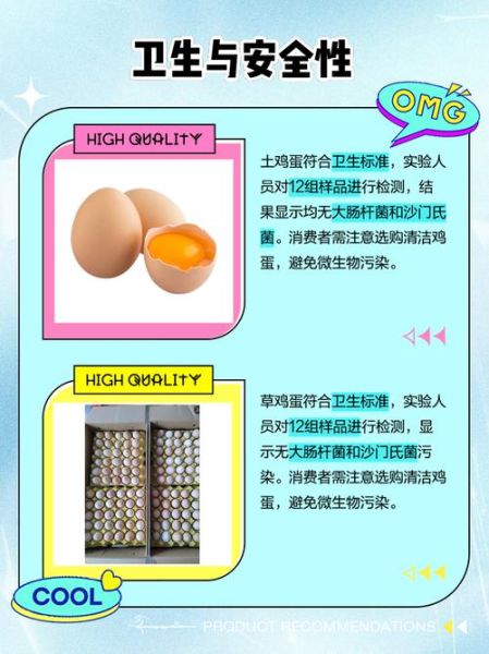 草鸡蛋和洋鸡蛋的区别_哪个营养价值更高-第3张图片-山城妙识 草鸡蛋和洋鸡蛋的区别_哪个营养价值更高-第3张图片-山城妙识