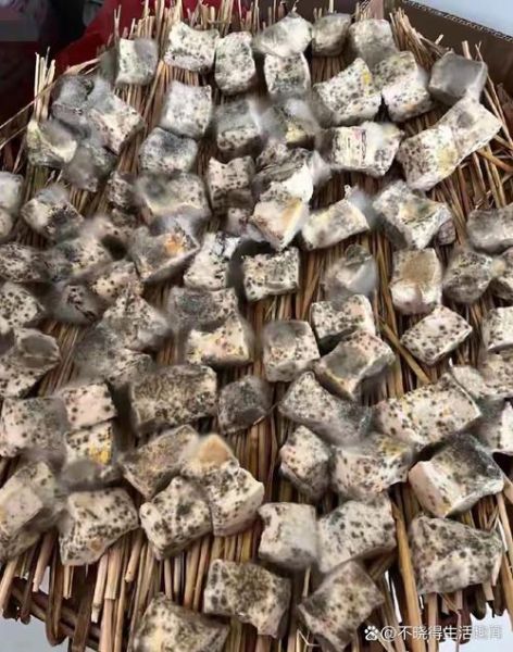 江西霉豆腐怎么做_霉豆腐长白毛还能吃吗-第1张图片-山城妙识 江西霉豆腐怎么做_霉豆腐长白毛还能吃吗-第1张图片-山城妙识