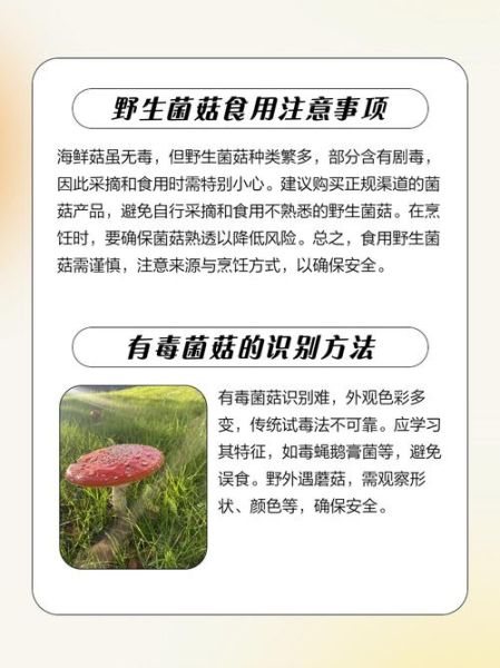 海鲜菇中毒是真的吗_如何避免海鲜菇中毒-第1张图片-山城妙识 海鲜菇中毒是真的吗_如何避免海鲜菇中毒-第1张图片-山城妙识