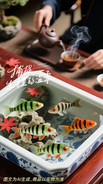 小型淡水鱼有哪些_新手适合养什么小型淡水鱼-第1张图片-山城妙识