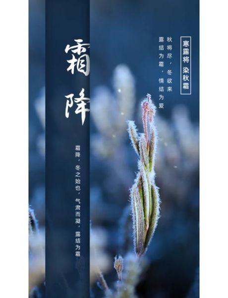 霜降的唯美句子有哪些_霜降节气如何描写-第1张图片-山城妙识