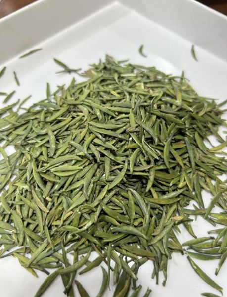 雀舌茶产地哪里较正宗_正宗雀舌茶核心产区-第1张图片-山城妙识 雀舌茶产地哪里较正宗_正宗雀舌茶核心产区-第1张图片-山城妙识