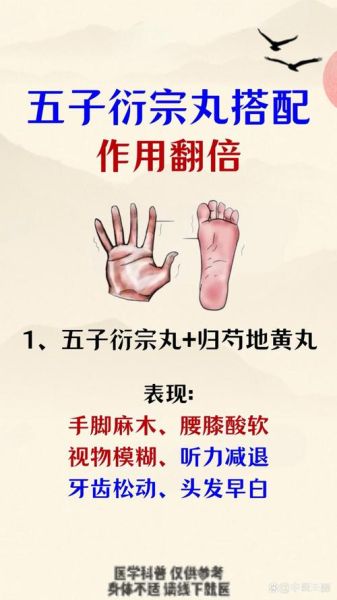 五子衍宗丸副作用_吃废了怎么办-第1张图片-山城妙识 五子衍宗丸副作用_吃废了怎么办-第1张图片-山城妙识