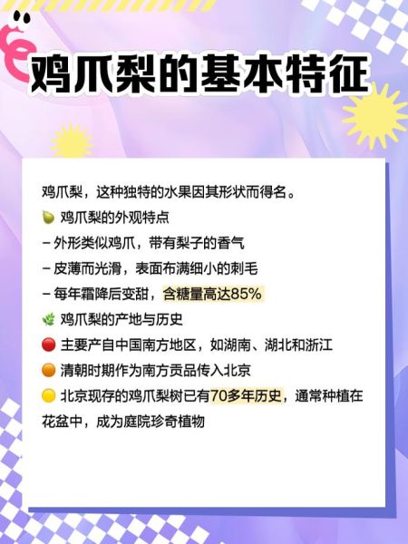 鸡爪梨树是什么树_鸡爪梨树几年结果-第1张图片-山城妙识 鸡爪梨树是什么树_鸡爪梨树几年结果-第1张图片-山城妙识