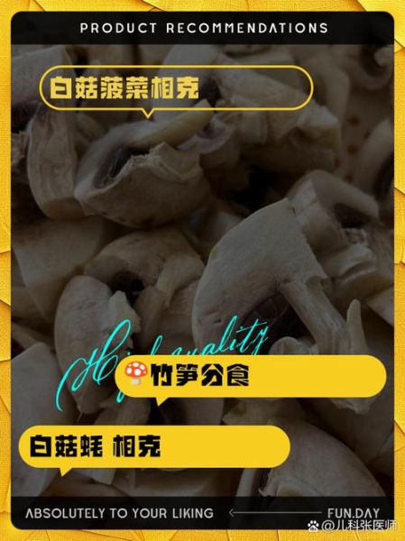 白灵菇不能和什么一起吃_白灵菇相克食物有哪些-第1张图片-山城妙识 白灵菇不能和什么一起吃_白灵菇相克食物有哪些-第1张图片-山城妙识