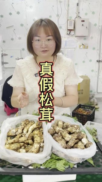 野生松茸高清图片_如何分辨真假松茸-第2张图片-山城妙识 野生松茸高清图片_如何分辨真假松茸-第2张图片-山城妙识