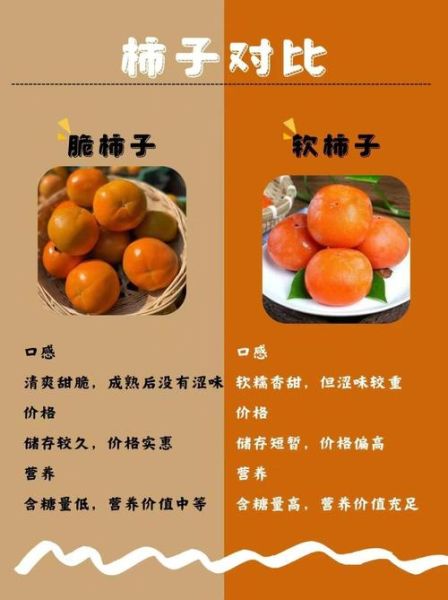 孕妇前三个月能吃柿子吗_孕早期吃柿子注意事项-第1张图片-山城妙识 孕妇前三个月能吃柿子吗_孕早期吃柿子注意事项-第1张图片-山城妙识