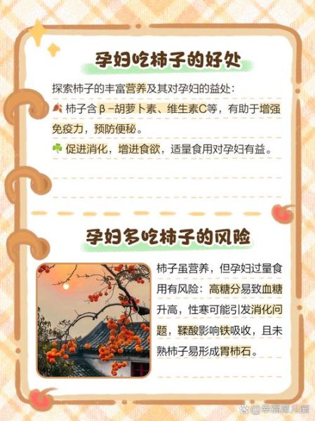 孕妇前三个月能吃柿子吗_孕早期吃柿子注意事项-第2张图片-山城妙识 孕妇前三个月能吃柿子吗_孕早期吃柿子注意事项-第2张图片-山城妙识
