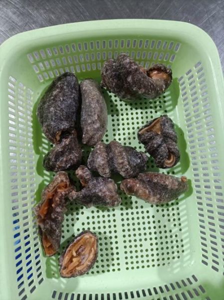 红极海参多少钱一斤_红极海参价格影响因素-第1张图片-山城妙识 红极海参多少钱一斤_红极海参价格影响因素-第1张图片-山城妙识