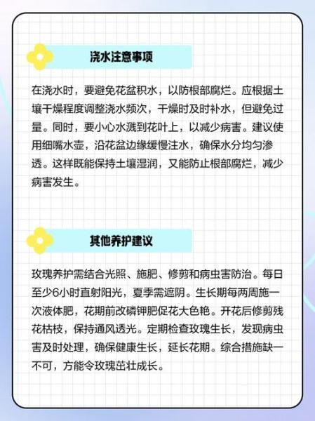 玫瑰怎么养_玫瑰多久浇一次水-第3张图片-山城妙识 玫瑰怎么养_玫瑰多久浇一次水-第3张图片-山城妙识