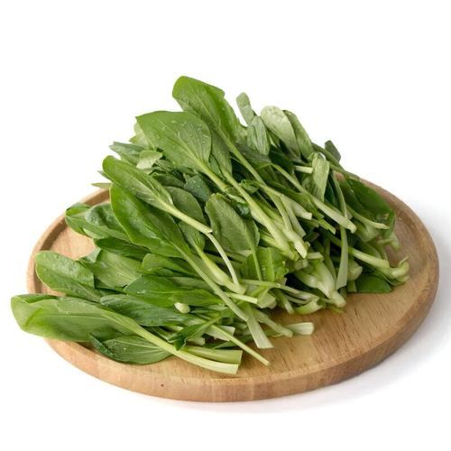 鸡毛菜长大了是什么菜_鸡毛菜成熟后叫什么-第3张图片-山城妙识 鸡毛菜长大了是什么菜_鸡毛菜成熟后叫什么-第3张图片-山城妙识