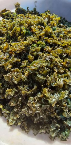 地皮菜炒之前要焯水吗_地皮菜焯水几分钟-第3张图片-山城妙识 地皮菜炒之前要焯水吗_地皮菜焯水几分钟-第3张图片-山城妙识
