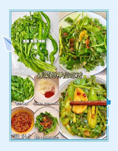 香菜的做法有哪些_香菜怎么做好吃-第3张图片-山城妙识 香菜的做法有哪些_香菜怎么做好吃-第3张图片-山城妙识