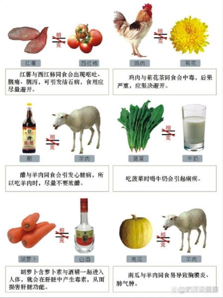 食物相克是真的吗_哪些食物不能一起吃-第2张图片-山城妙识 食物相克是真的吗_哪些食物不能一起吃-第2张图片-山城妙识