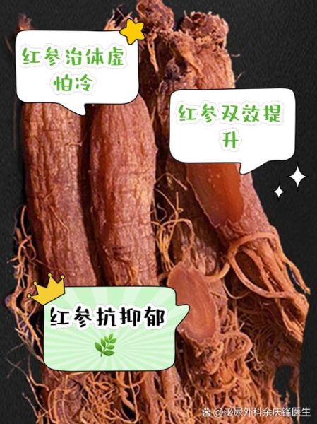 红参适合什么体质的人服用_红参不适合哪些体质-第2张图片-山城妙识 红参适合什么体质的人服用_红参不适合哪些体质-第2张图片-山城妙识