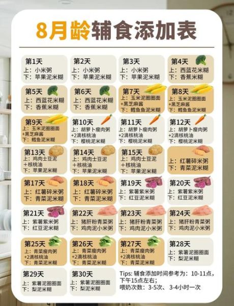 8个月宝宝一天吃几次辅食_8个月宝宝辅食时间安排-第1张图片-山城妙识 8个月宝宝一天吃几次辅食_8个月宝宝辅食时间安排-第1张图片-山城妙识
