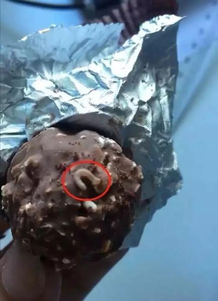 费列罗巧克力有蛆虫_还能吃吗-第2张图片-山城妙识 费列罗巧克力有蛆虫_还能吃吗-第2张图片-山城妙识