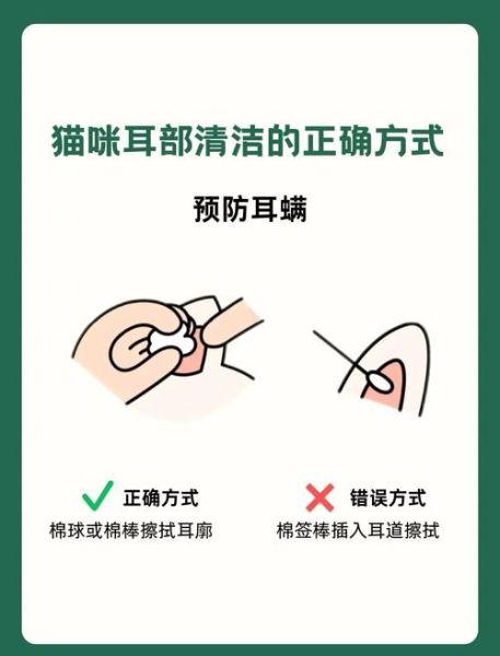 猫耳朵脏怎么办_猫耳朵脏用什么清洁-第2张图片-山城妙识 猫耳朵脏怎么办_猫耳朵脏用什么清洁-第2张图片-山城妙识