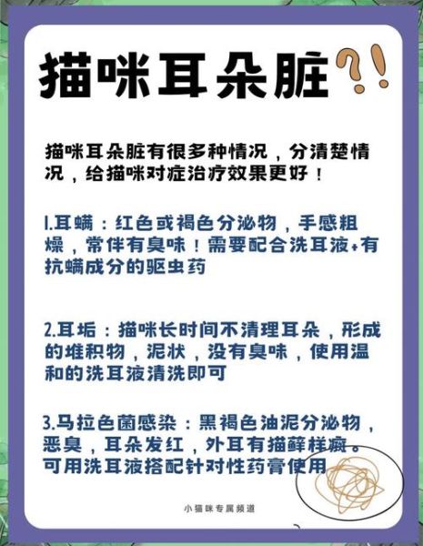 猫耳朵脏怎么办_猫耳朵脏用什么清洁-第3张图片-山城妙识 猫耳朵脏怎么办_猫耳朵脏用什么清洁-第3张图片-山城妙识
