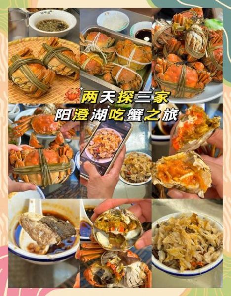 阳澄湖大闸蟹公的好还是母的好_怎么挑选-第3张图片-山城妙识 阳澄湖大闸蟹公的好还是母的好_怎么挑选-第3张图片-山城妙识