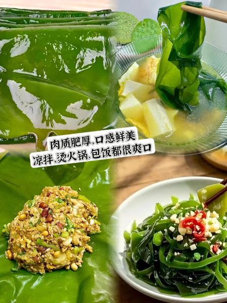 鲜海带煮多长时间_海带怎么煮不腥-第2张图片-山城妙识 鲜海带煮多长时间_海带怎么煮不腥-第2张图片-山城妙识