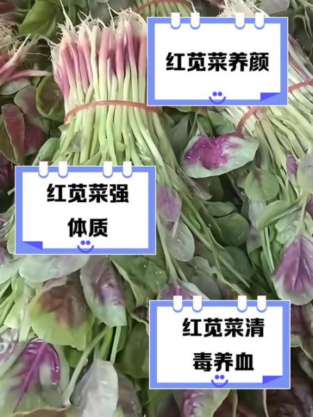 苋菜红致癌吗_安全剂量是多少-第3张图片-山城妙识 苋菜红致癌吗_安全剂量是多少-第3张图片-山城妙识