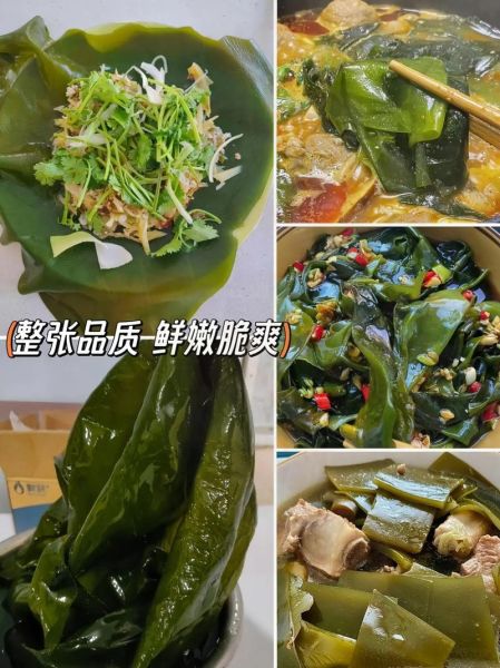 鲜海带煮多长时间_海带怎么煮不腥-第3张图片-山城妙识 鲜海带煮多长时间_海带怎么煮不腥-第3张图片-山城妙识