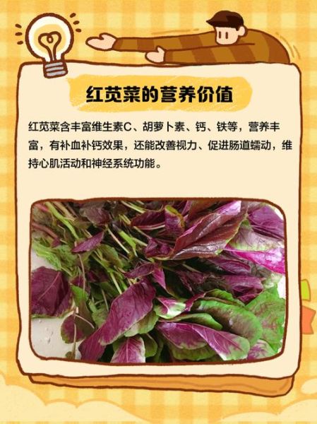 苋菜红致癌吗_安全剂量是多少-第2张图片-山城妙识 苋菜红致癌吗_安全剂量是多少-第2张图片-山城妙识