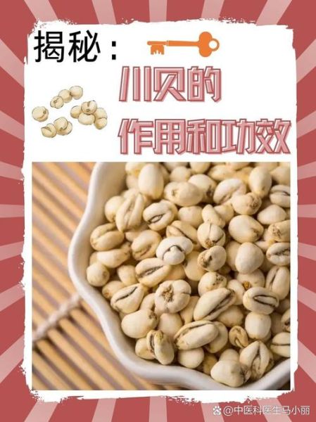 小孩吃川贝的副作用_川贝儿童用量安全吗-第2张图片-山城妙识 小孩吃川贝的副作用_川贝儿童用量安全吗-第2张图片-山城妙识