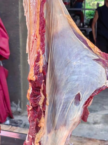 黄牛肉价格多少钱一斤_黄牛肉价格走势-第1张图片-山城妙识 黄牛肉价格多少钱一斤_黄牛肉价格走势-第1张图片-山城妙识