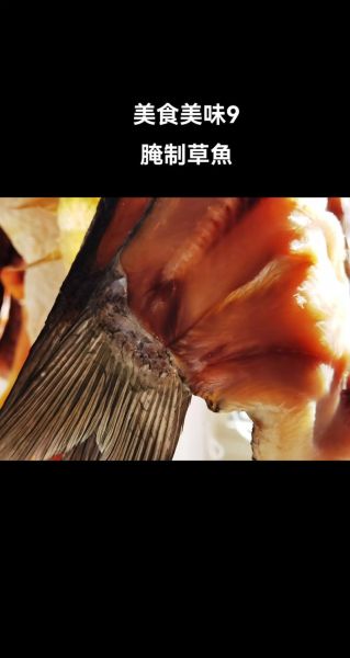 草鱼怎么腌制_草鱼腌制多久入味-第1张图片-山城妙识 草鱼怎么腌制_草鱼腌制多久入味-第1张图片-山城妙识