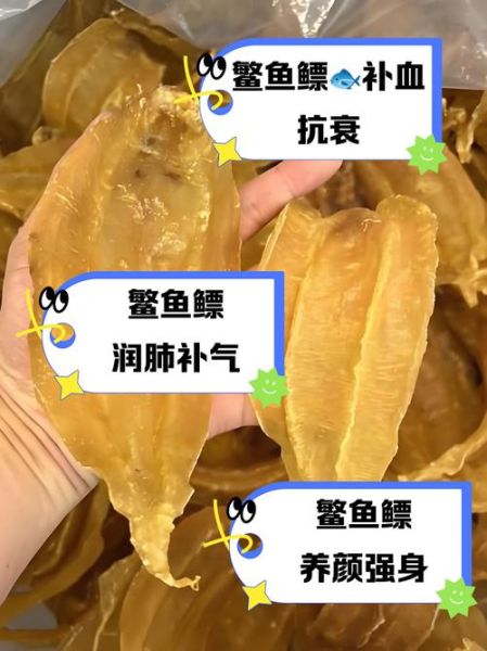 鱼鳔是鱼的什么器官_鱼鳔的功能有哪些-第3张图片-山城妙识 鱼鳔是鱼的什么器官_鱼鳔的功能有哪些-第3张图片-山城妙识