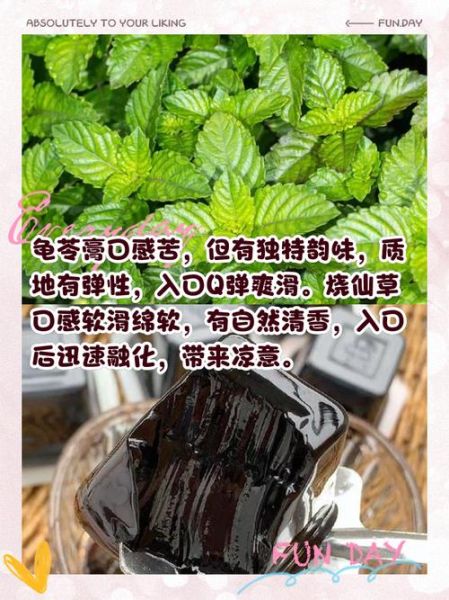 龟苓膏和烧仙草的区别_哪个更降火-第1张图片-山城妙识 龟苓膏和烧仙草的区别_哪个更降火-第1张图片-山城妙识