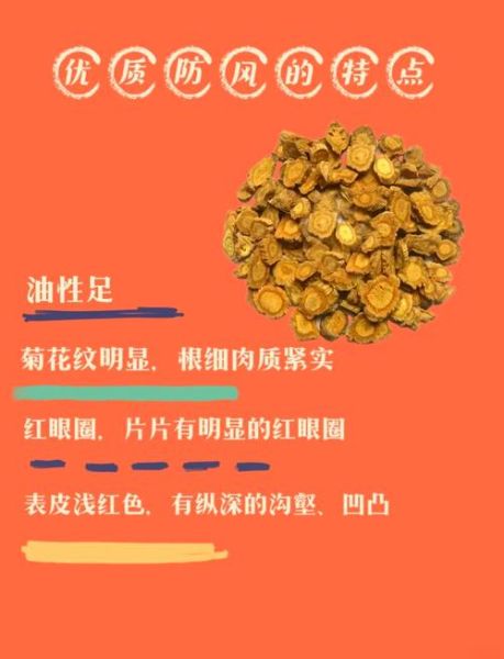 防风的功效与作用有哪些_防风怎么吃效果最好-第1张图片-山城妙识 防风的功效与作用有哪些_防风怎么吃效果最好-第1张图片-山城妙识
