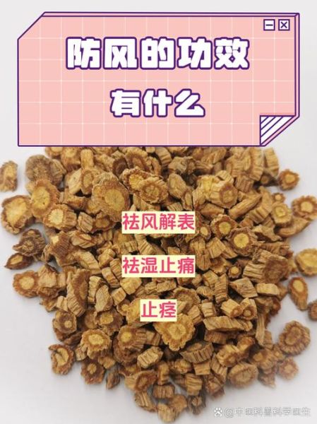 防风的功效与作用有哪些_防风怎么吃效果最好-第3张图片-山城妙识 防风的功效与作用有哪些_防风怎么吃效果最好-第3张图片-山城妙识