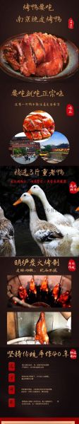脆皮烤鸭机多少钱一台_脆皮烤鸭机哪个牌子好-第3张图片-山城妙识