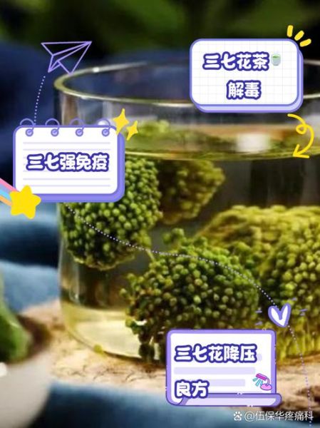 三七花泡水喝的害处_哪些人不能喝三七花-第2张图片-山城妙识