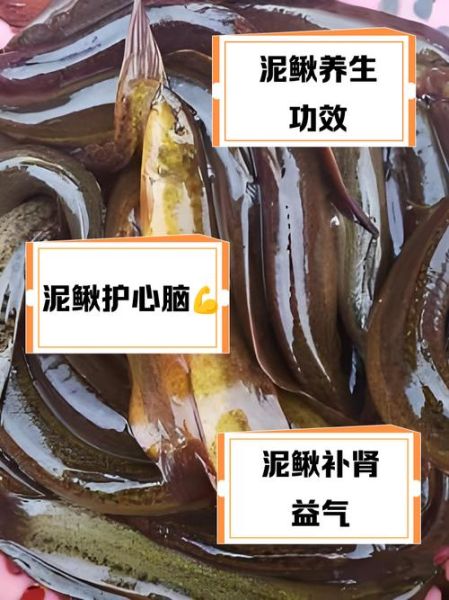 泥鳅要不要去内脏_泥鳅怎么处理干净-第1张图片-山城妙识 泥鳅要不要去内脏_泥鳅怎么处理干净-第1张图片-山城妙识