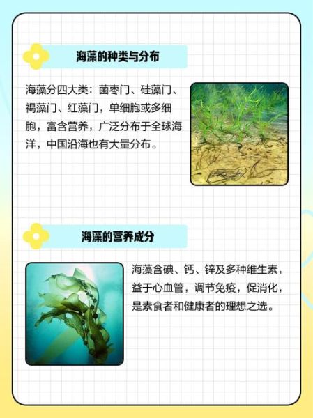 海藻的功效与作用_海藻怎么吃最营养-第1张图片-山城妙识 海藻的功效与作用_海藻怎么吃最营养-第1张图片-山城妙识