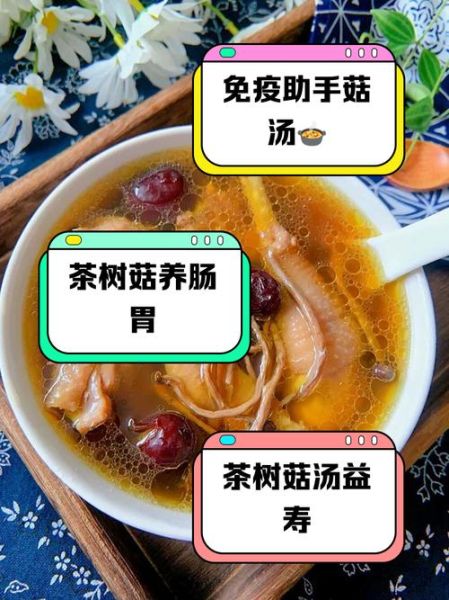 茶树菇煲鸡汤的做法_茶树菇鸡汤有什么功效-第1张图片-山城妙识 茶树菇煲鸡汤的做法_茶树菇鸡汤有什么功效-第1张图片-山城妙识