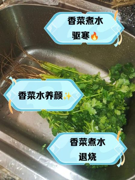 香菜煮水减肥几天见效_香菜水瘦身真实反馈-第1张图片-山城妙识 香菜煮水减肥几天见效_香菜水瘦身真实反馈-第1张图片-山城妙识