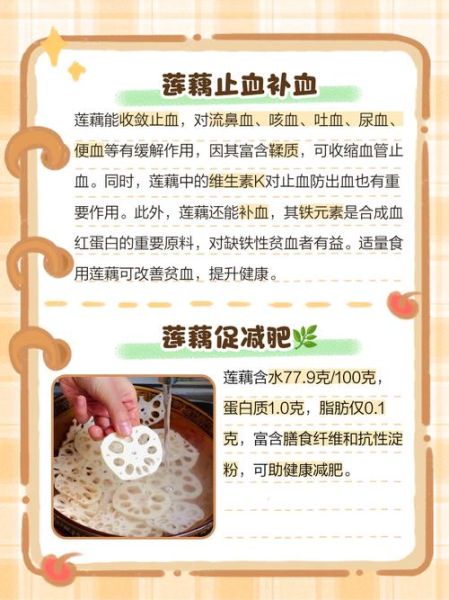 莲藕的营养价值_莲藕怎么吃最健康-第2张图片-山城妙识 莲藕的营养价值_莲藕怎么吃最健康-第2张图片-山城妙识
