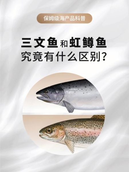 虹鳟鱼冒充三文鱼_如何分辨真假三文鱼-第2张图片-山城妙识 虹鳟鱼冒充三文鱼_如何分辨真假三文鱼-第2张图片-山城妙识